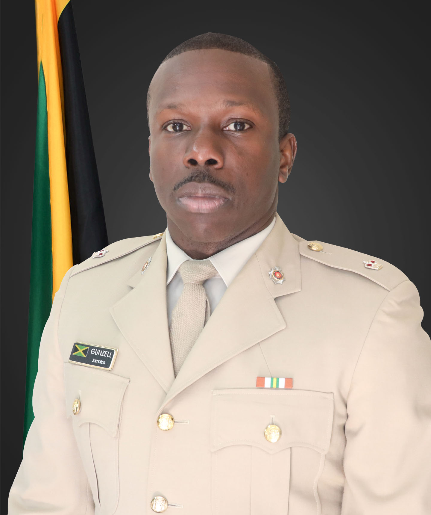 Acting SO1 J6 Cyber Comms and Info Sys | JDF.org The Official Website ...