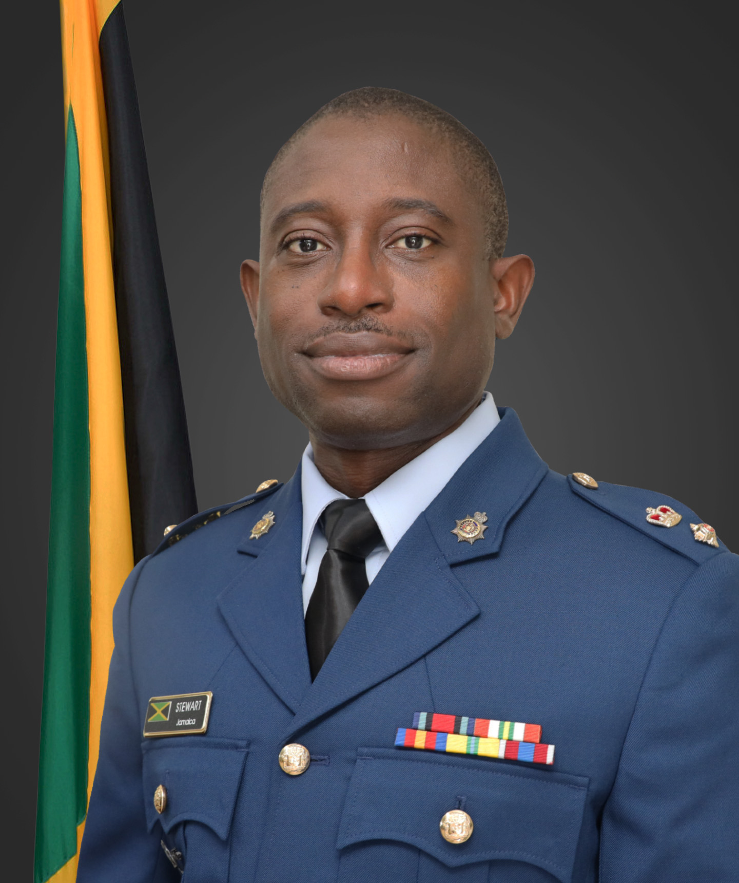 Executive Officer, Maritime, Air and Cyber Command | JDF.org The ...